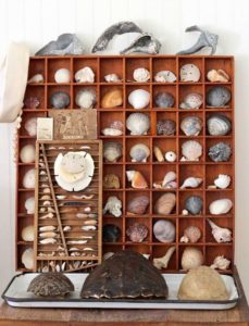 Savor your Beach Memories with Shell Decor & Photo Displays - Beach ...
