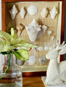 Savor your Beach Memories with Shell Decor & Photo Displays - Beach ...